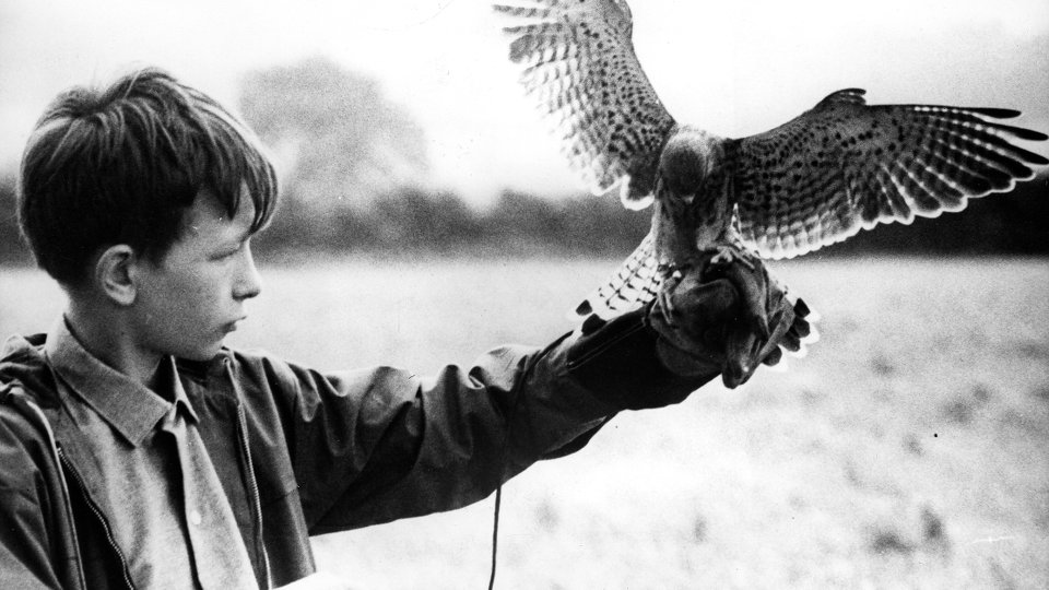 Kes Blu-ray review - Entertainment Focus