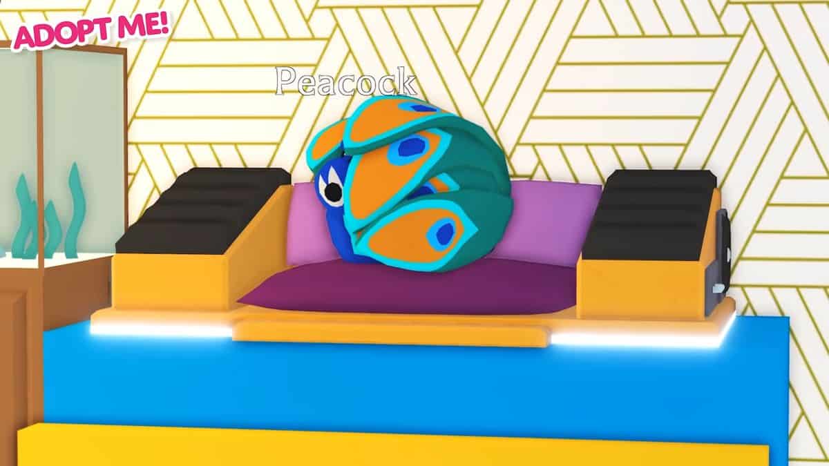 'Adopt Me' Announce New Peacock Pet And More In New Video ...